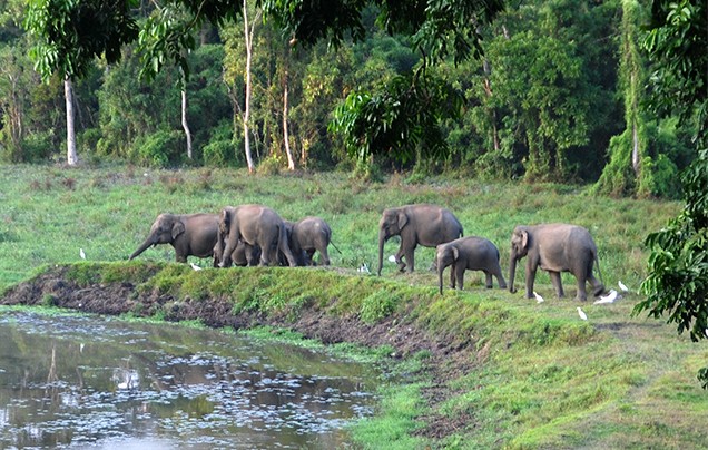 Himalayan Kingdoms | India Discovery Tour | Wendy Wu Tours