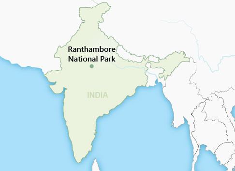 Ranthambore | India | Wendy Wu Tours